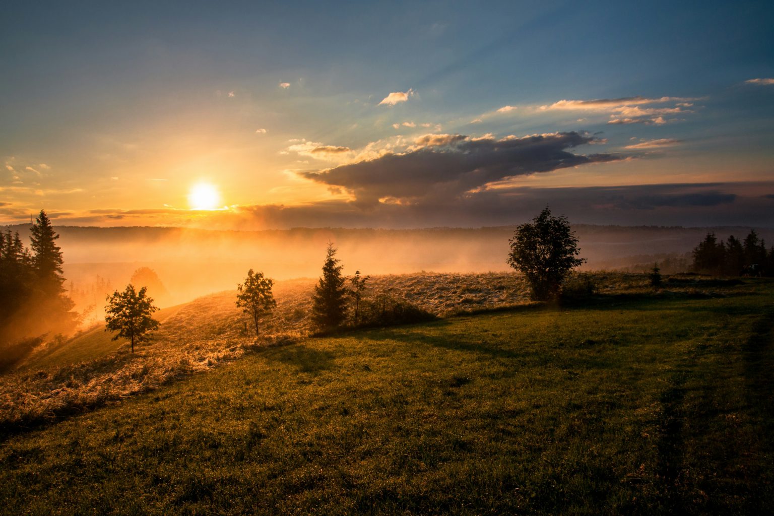 6 Examples of God's Divine Power in the Bible | Abide