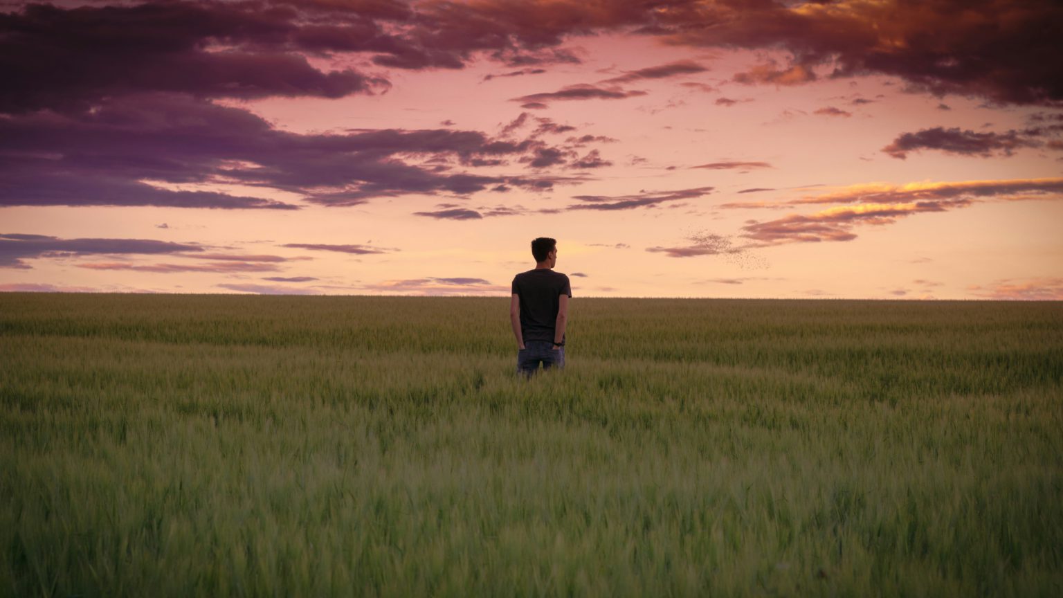 The Transformative Power of Embracing Truth | Abide