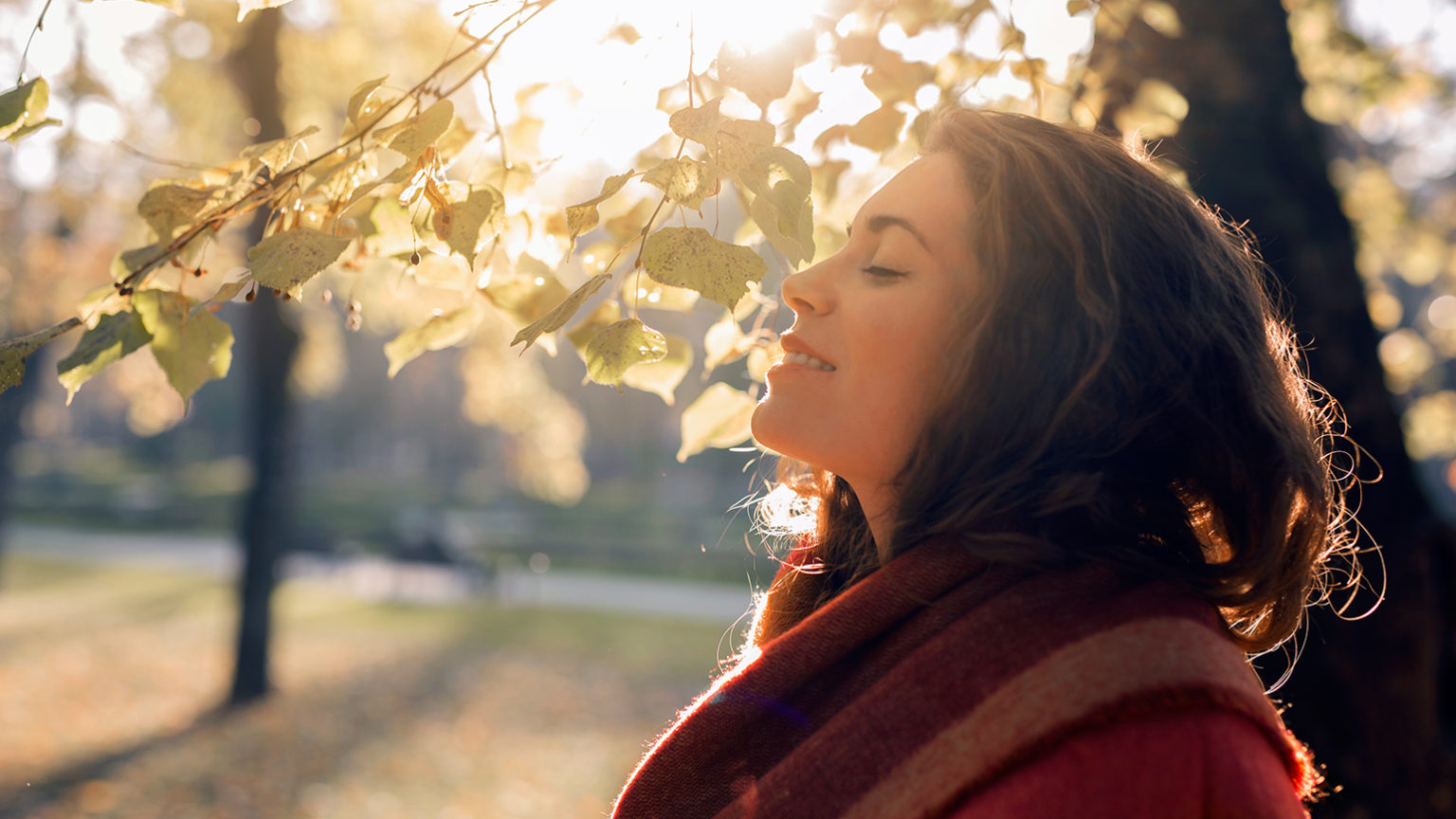 The Art of Contentment: How to be Mindful | Abide